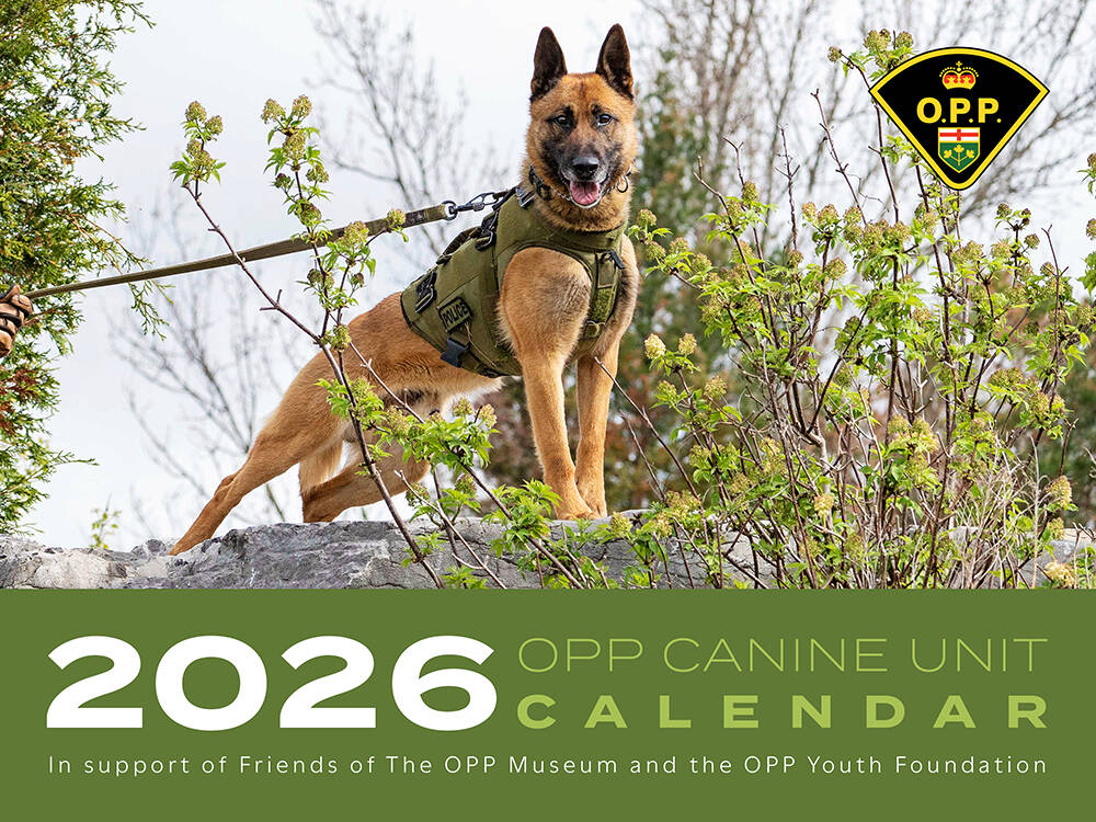 Welcome to the OPP Shop